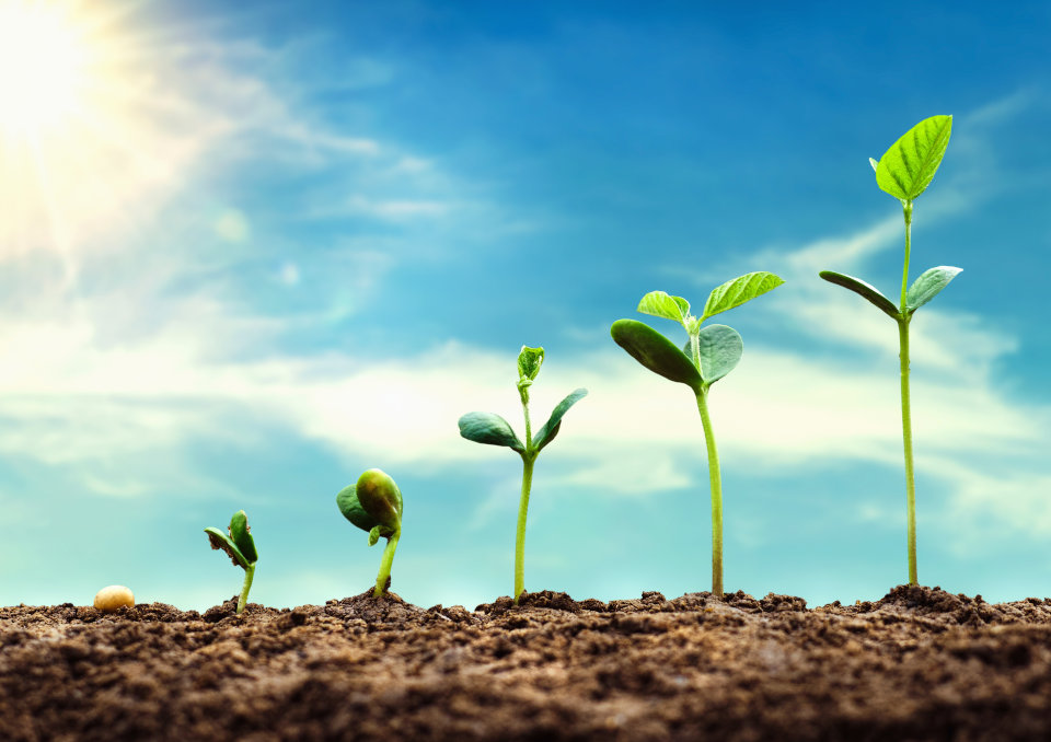 Model GROW w coachingu: definicja, pytania, przykłady